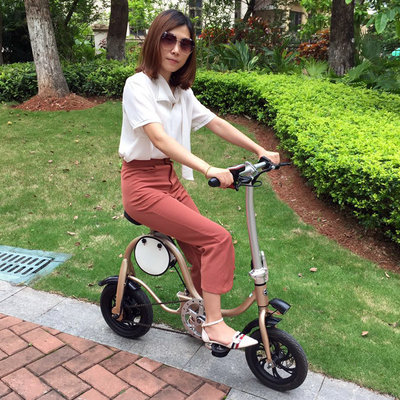 Removable Lithium Folding Electric Bike 12 Inches Wheels 7.8 AH Portable