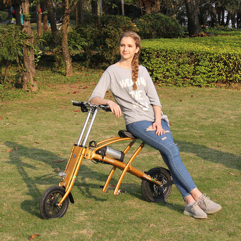 CE Light Weight Folding Electric Mountain Bike , Foldable Electric Bicycle Small Size