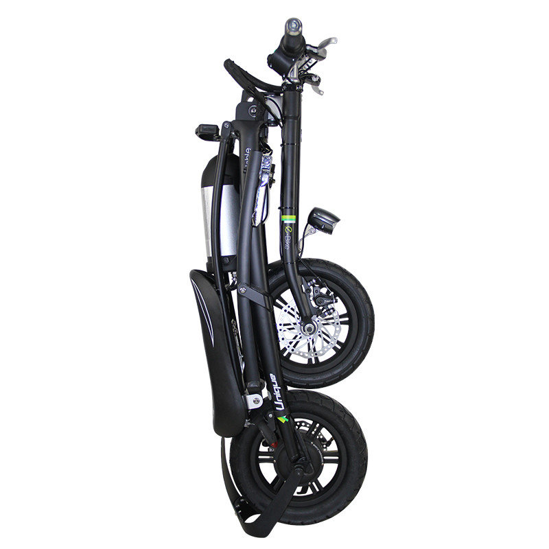 Personalized Folding Electric Bike High Speed Brushless Motor 36V 250W Disc Brake