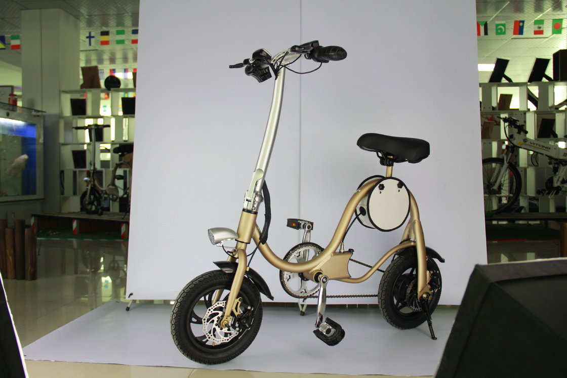 12 Inchs Folding Electric Bike 250W Adult Mini Lithium Battery Energy Saving