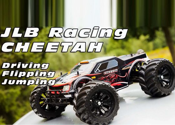 Metal Chassis Brushless Electric RC Cars And Trucks 2.4 GHZ 2 Channel