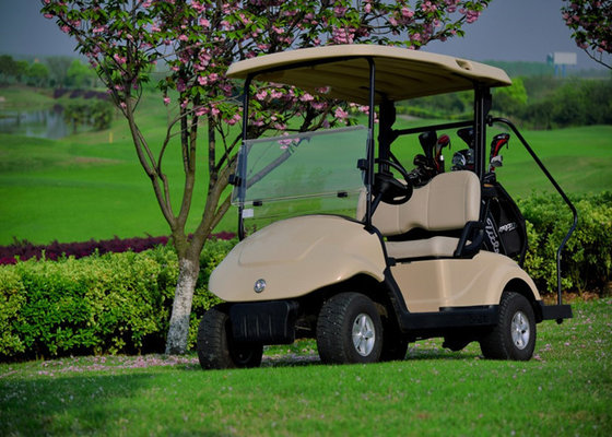 Electrical Mini 2 Seater Club Golf Carts 48V 3KW With Caddy Plate CE Approved