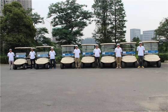 High Speed Electric Motor 2 Seater Golf Carts , Two Seat Golf Cart Utility Vehicle