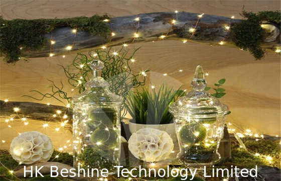 Mini Led Submersible Copper Wire Wedding String Light Operated By 2pcs Cr2032 Cell Battery