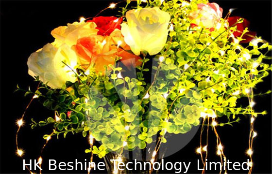 Color Changing 2m Led String Light Waterproof  For Christmas Decoration