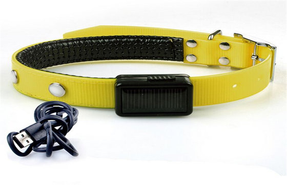 Adjustable Waterproof TPU Red Lighted Pet Collars Solar Or USB Rechargeable