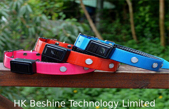Durable Solar Pink Led Pet Collar USB Safety Lighted Dog Collars Glowing In Dark