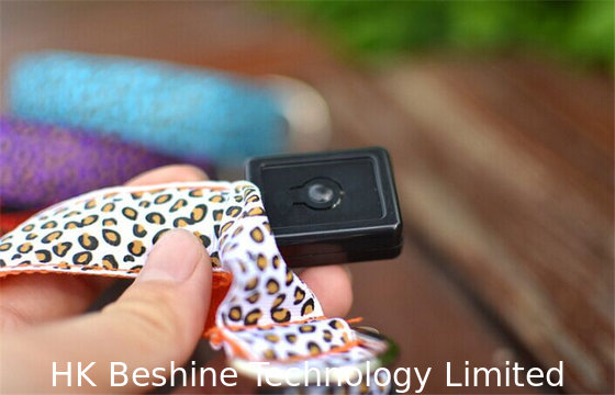 Leopard Printed Blue Lighting Led Dog Collars S M L Size Adjustable