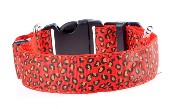 4 Size Flashing Lighted Pet Collars For Dogs , 30-60cm Length
