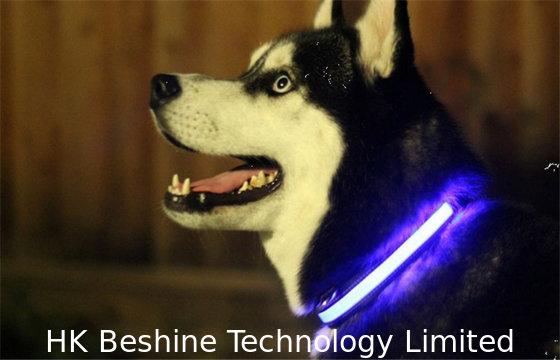 Brightness Blinking LED Pet Collar Powered By Batteries With Custom Logo