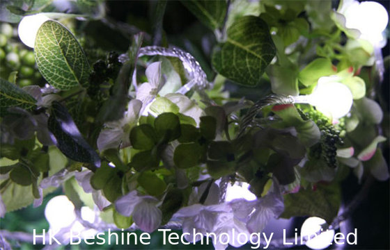 Waterproof LED  Ball Lamps String Lights