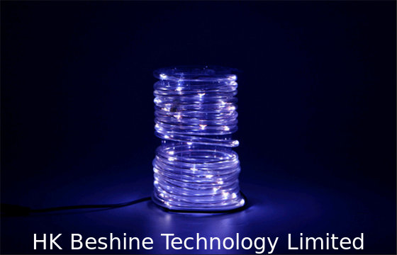 Party Home Holiday Transparent Led Outdoor String Lights With PVC Tube Cover