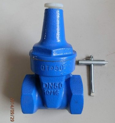 Soft Sealing Non Rising Stem Resilient Seated Gate Valve BSNPT DIN2999