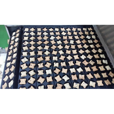 Chocolate Injection Machine, Jam Injection Machine