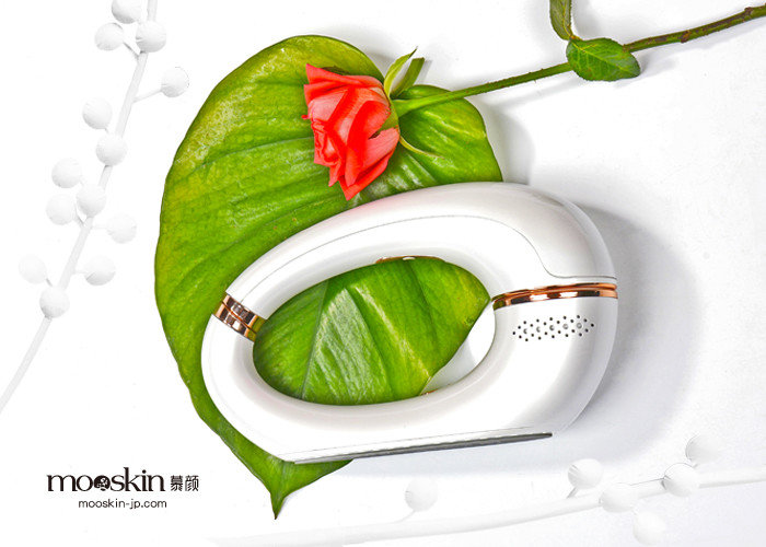Electronic Facial Cleanser Dual Speed Deep Cleansing Brush For Face