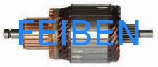 STARTER ARMATURE IM2120,137893 12V