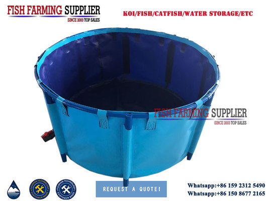 Foldable Foldable Plastic Fish Tank for RAS Fish System Design
