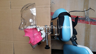 China Dental simple Training Simulator Manikin,dental training head simulator,dental manikin supplier