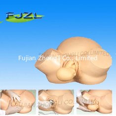 China Vacuum Delivery Model supplier