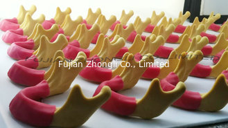 China dental Implant model for drilling Practice supplier