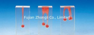 China high quality resin root canal filling S6 supplier