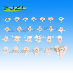 China the human skeleton model of cervical, sternal lumber vertebrae and sacral bone(26pcs) supplier