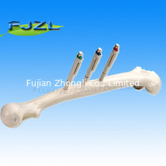 China Femur pen holder supplier