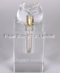 China dental implant crystal model of 3 parts supplier