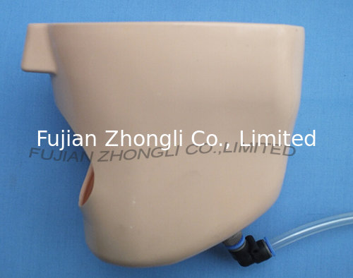 high quality dental simulation  manikin phantom head training torso&amp;oral care water cover supplier