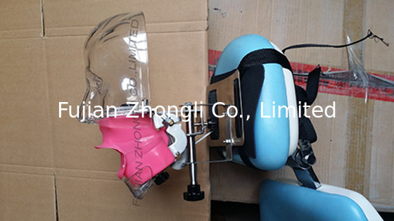 Dental simple Training Simulator Manikin,dental training head simulator,dental manikin supplier