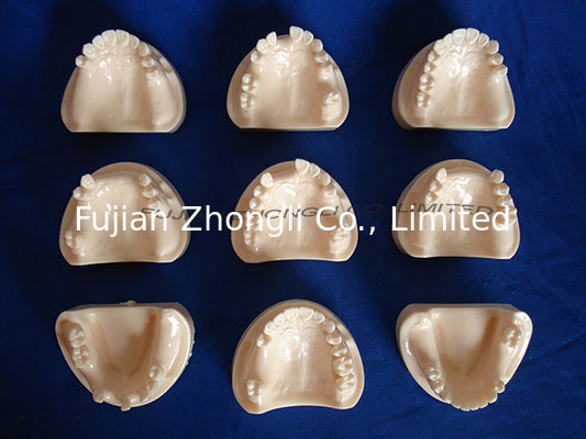 dental model for partial denture restorative supplier