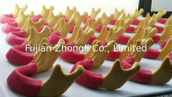 dental Implant model for drilling Practice supplier
