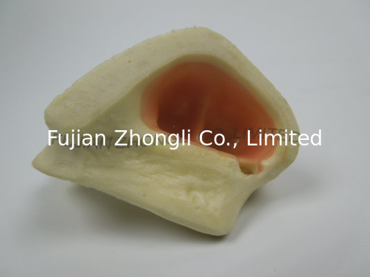 Sinus Lift Practice Model supplier