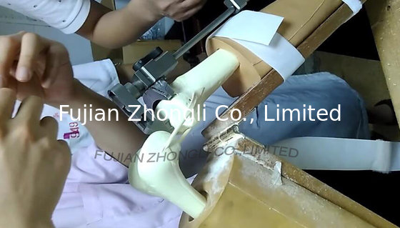 high quality medical educational surgery demonstration PU foam femur and Tibia skeleton simulator anatomy model supplier