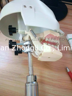 Dental Simulator Manikin Phantom Head Chair Mount Typodont Model supplier