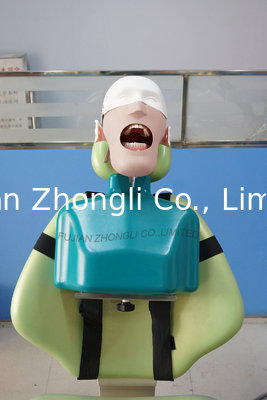 Top Quality Dental Manikin Head with Torso for Dental Chair supplier