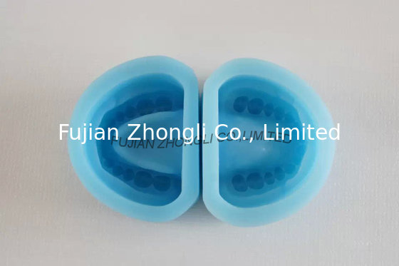 Cheap Durable Dental Plaster Model Mold for Dentist supplier