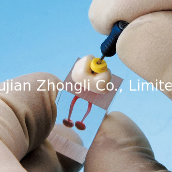 Cheap Root Canal Filling S6 supplier