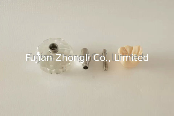 dental implant demonstration model of 5 parts supplier