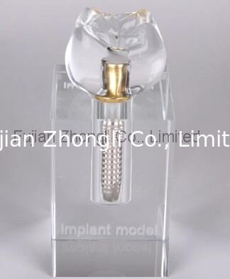 dental implant crystal model of 3 parts supplier