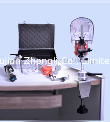 Dentist Practiced Dummy Dental supplier