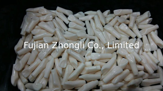 Dental Teeth for  Replacing Frasaco Typodont or Nissin Typodont supplier