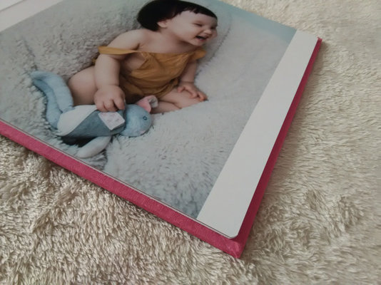 Álbum cubierto de tela azul del niño del soporte rasante/de foto de los perros con las páginas internas impermeables