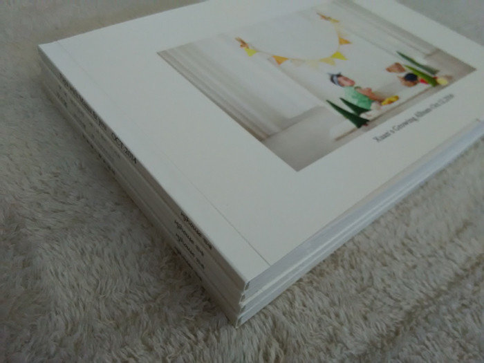 Álbum de foto registrable personalizado único del embarazo/del compromiso 12 x 10