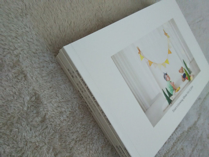 12 x 8 álbumes de foto Softcover de los recuerdos del niño de la impresión del libro de la foto de la película de Matt