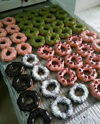 Automatic Continuous 4 Rows Stainless Steel Donut Fryer Machine