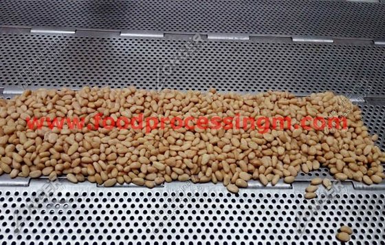 multifunction nut roasting machine for peanut,almond,walnut,sunflower seeds