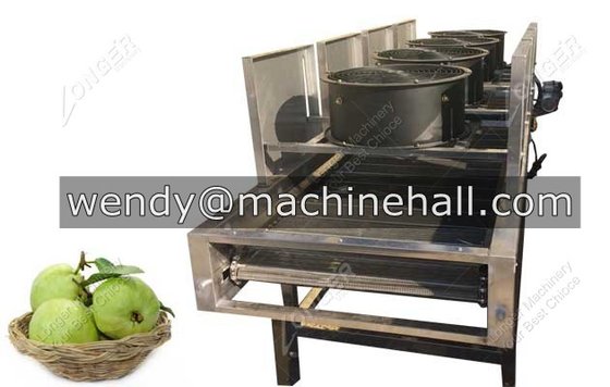 fruit vegetable air drying machine with best price in china manufacturer