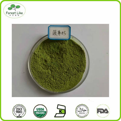China Vagetable P.E. Spinach Powder / BoBcai Powder without Additive supplier