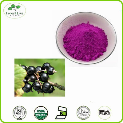 China Provides Natural Fruit Extract Black Currant Powder supplier